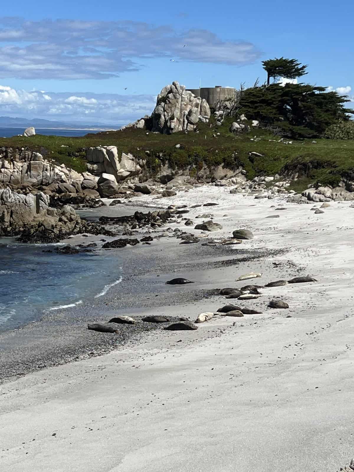 My Perfect Monterey Itinerary for 1 to 2 days - My California Travels