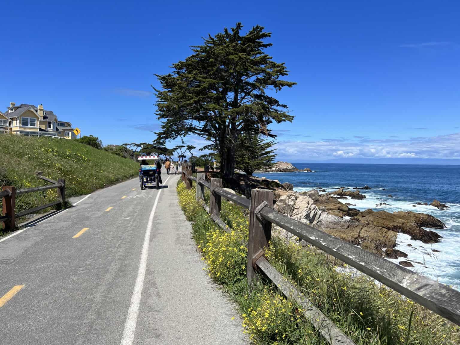 Top 19 Things to do in Monterey and Carmel - My California Travels