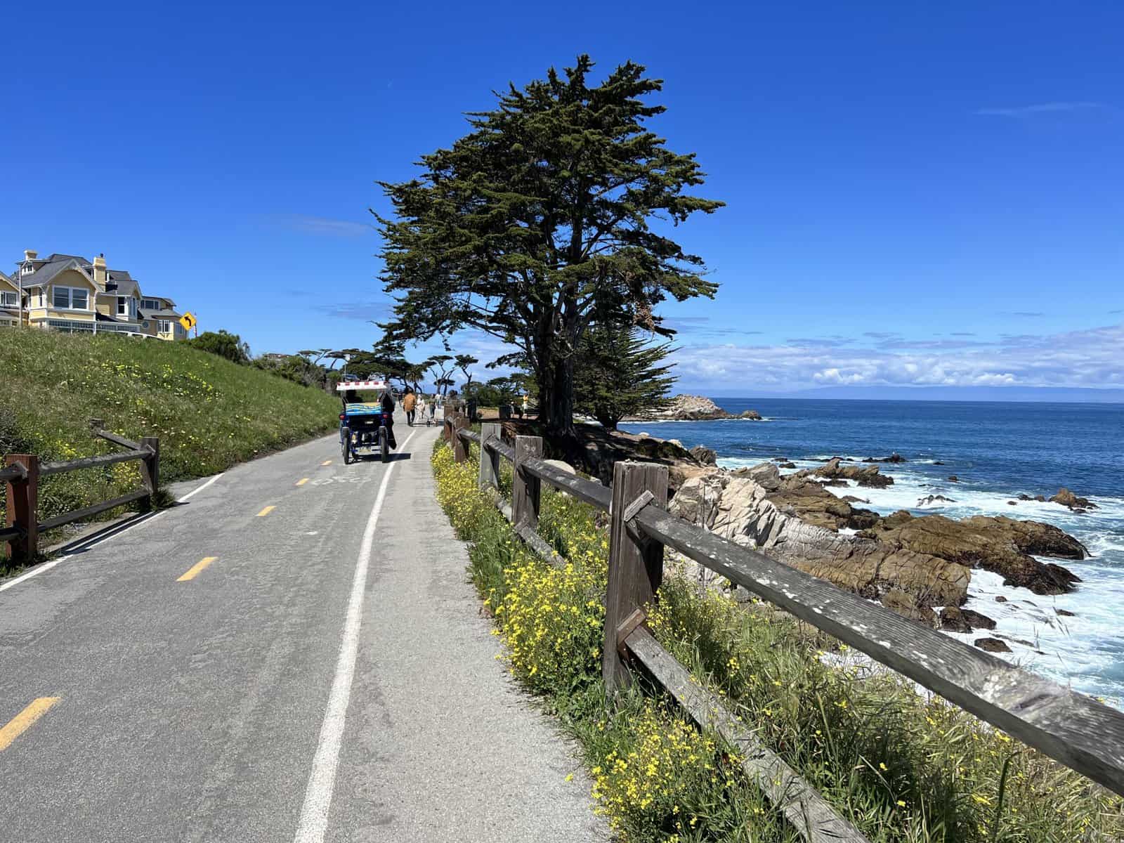 Top 19 Things to do in Monterey and Carmel - My California Travels