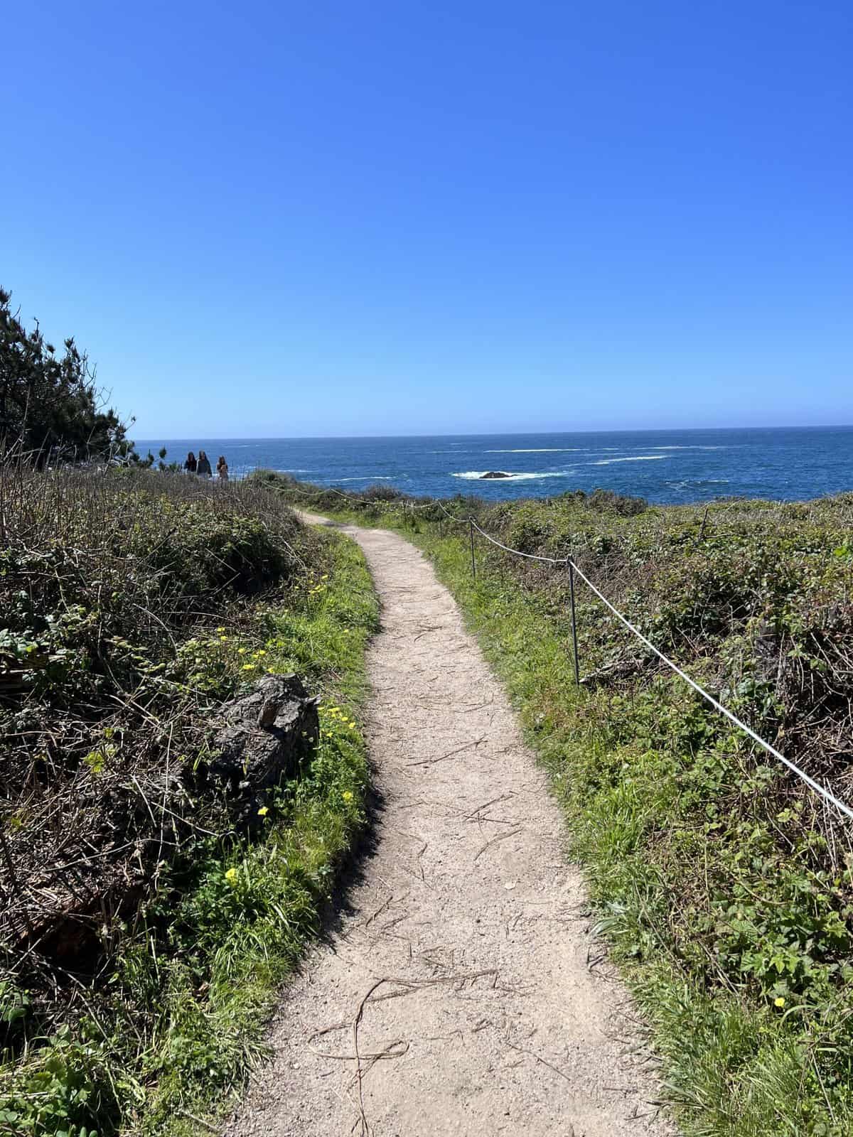 An amazing day hiking at Point Lobos State Natural Preserve - My ...