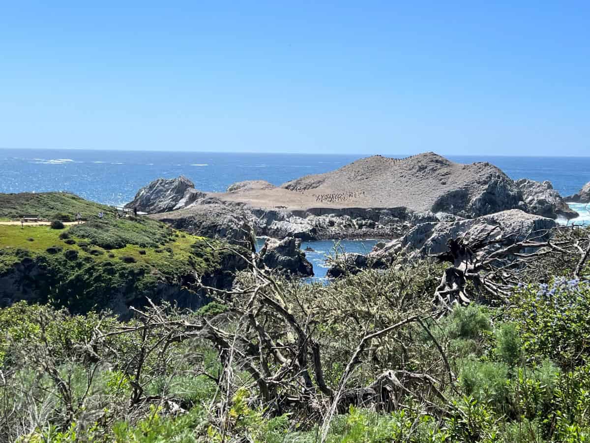 An amazing day hiking at Point Lobos State Natural Preserve - My ...