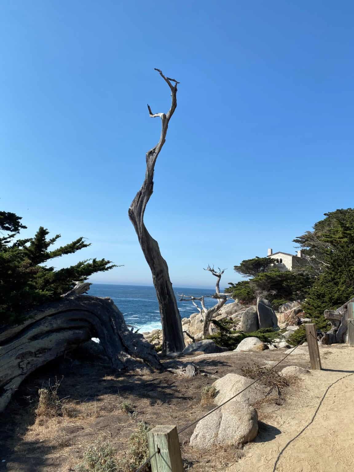 Scenic 17-Mile Drive at Pebble Beach (near Monterey) - My California ...