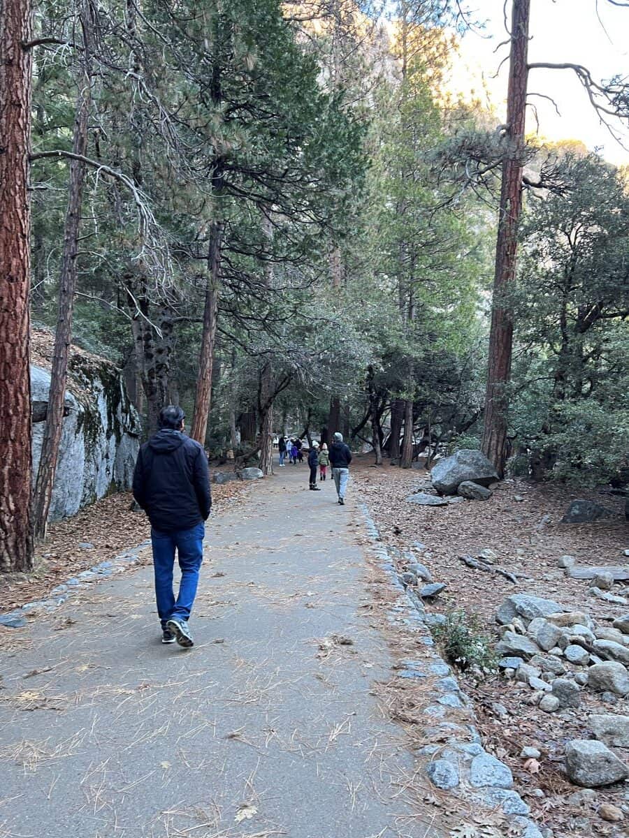 My experience hiking the Lower Yosemite Falls Trail - My California Travels