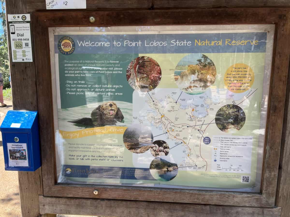 An amazing day hiking at Point Lobos State Natural Preserve - My ...