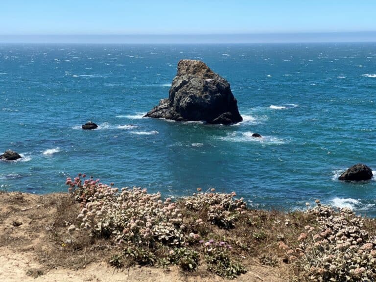 12 best beaches in Bodega Bay (and Sonoma Coast) - My California Travels
