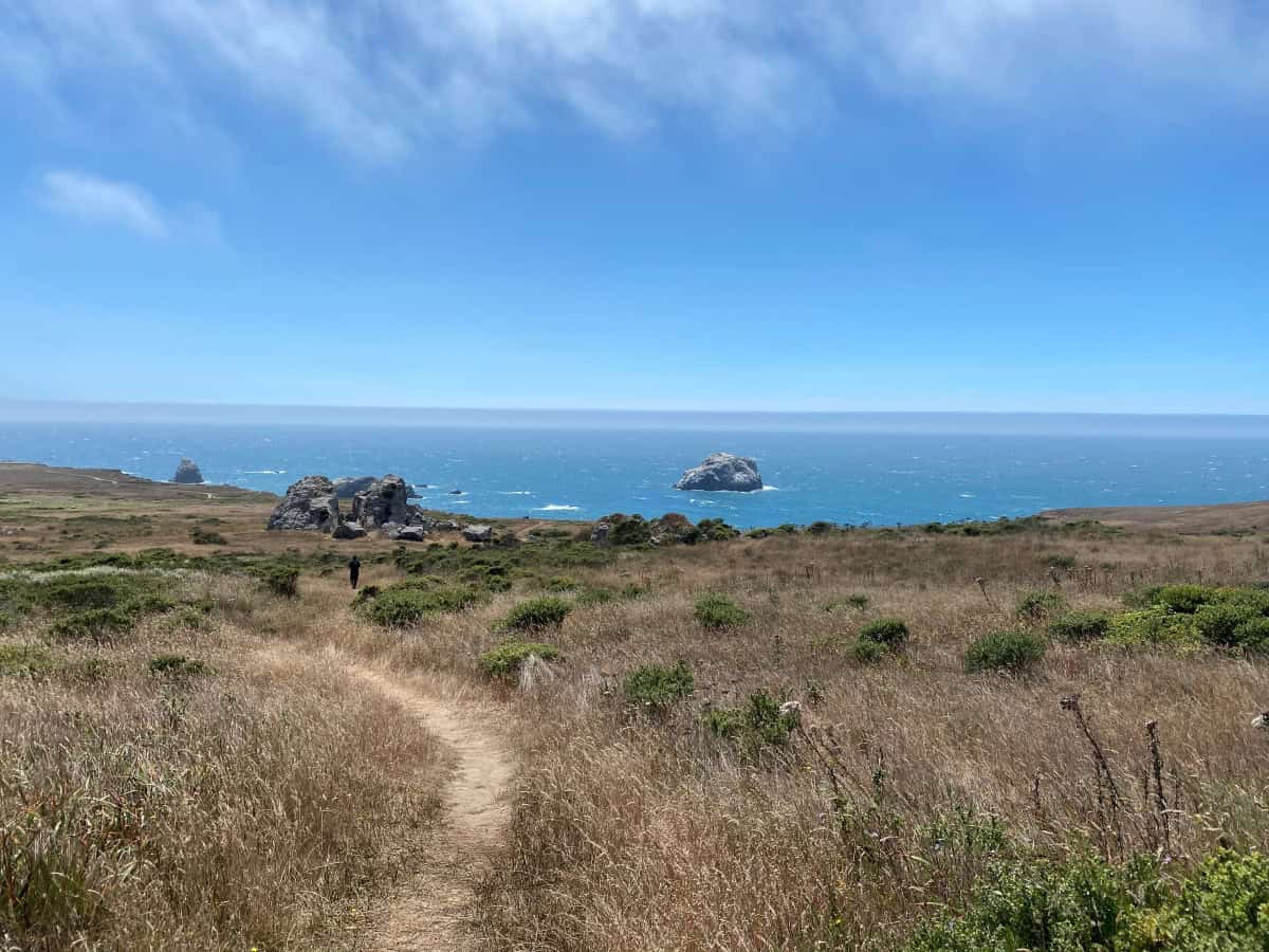 12 best beaches in Bodega Bay (and Sonoma Coast) - My California Travels
