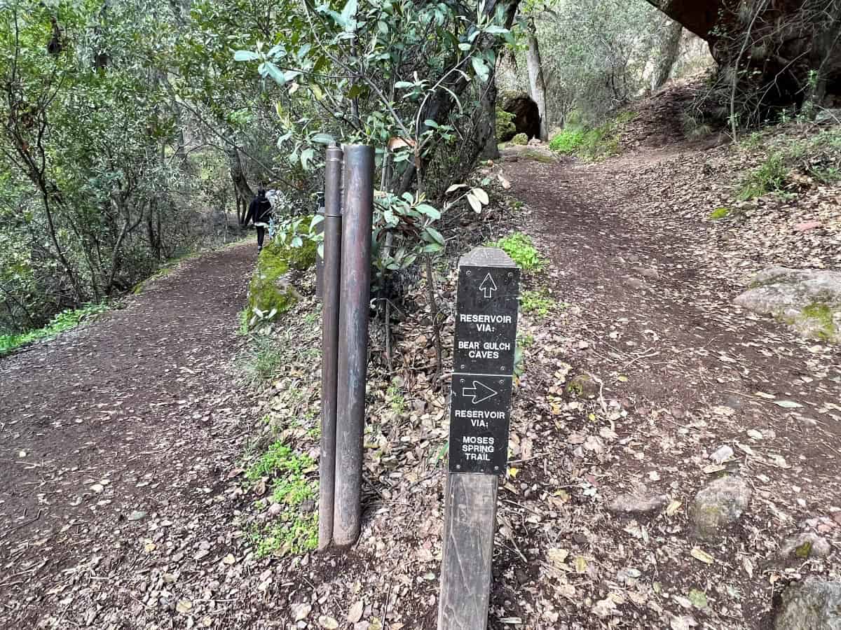Bear Gulch Cave Trail and Reservoir Hike in Pinnacles - My California ...