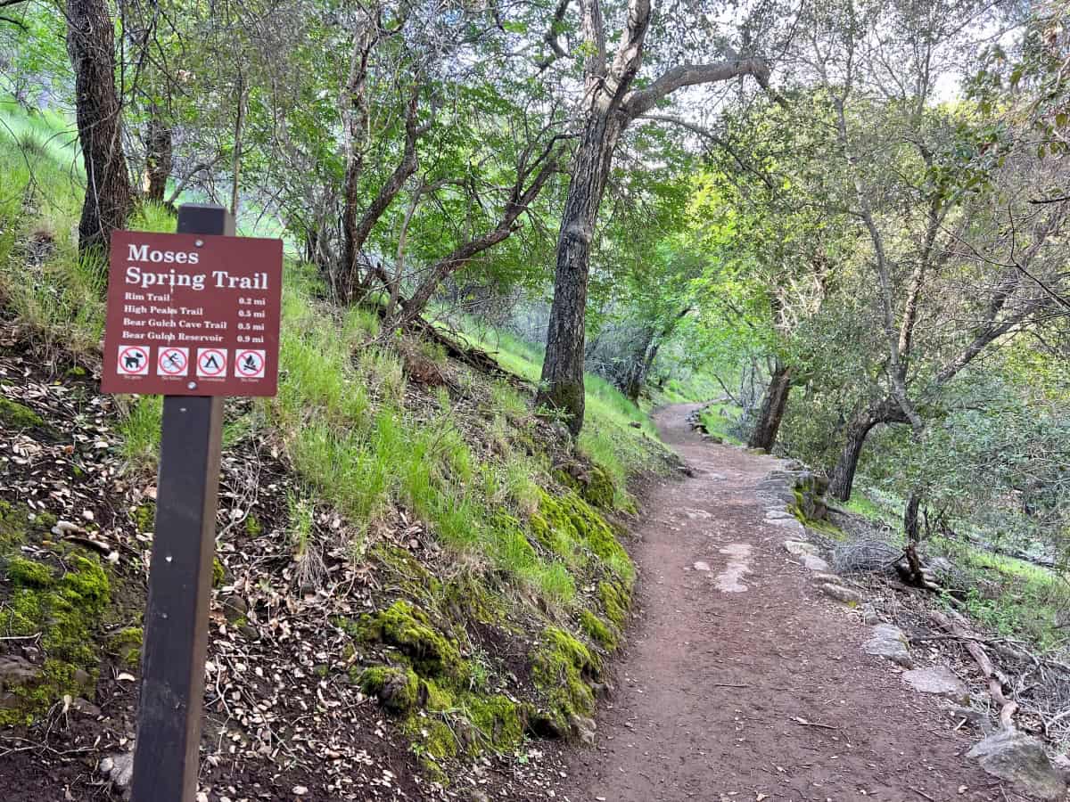 Bear Gulch Cave Trail and Reservoir Hike in Pinnacles - My California ...