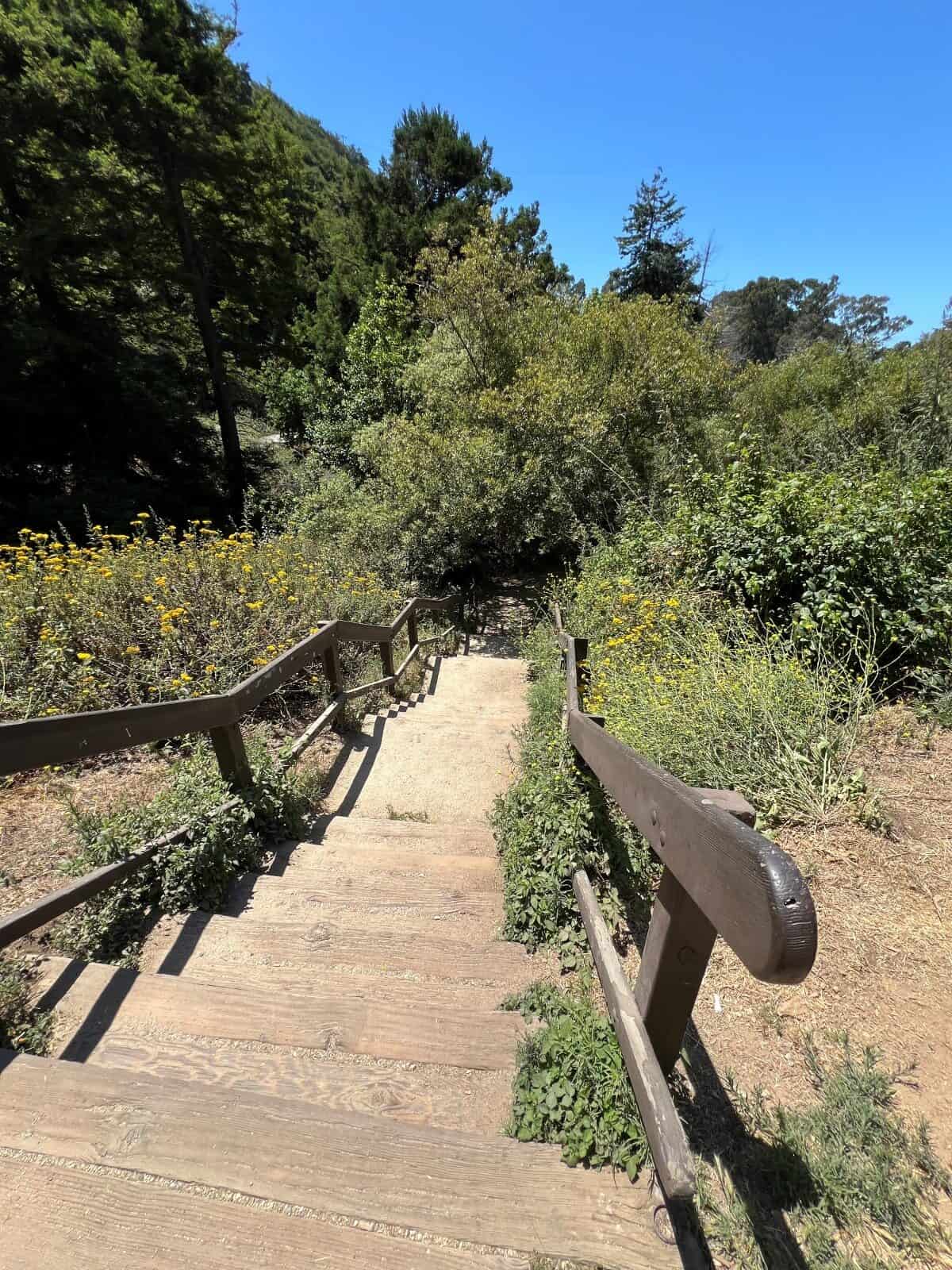 My visit to the Iconic McWay Falls in Big Sur - My California Travels