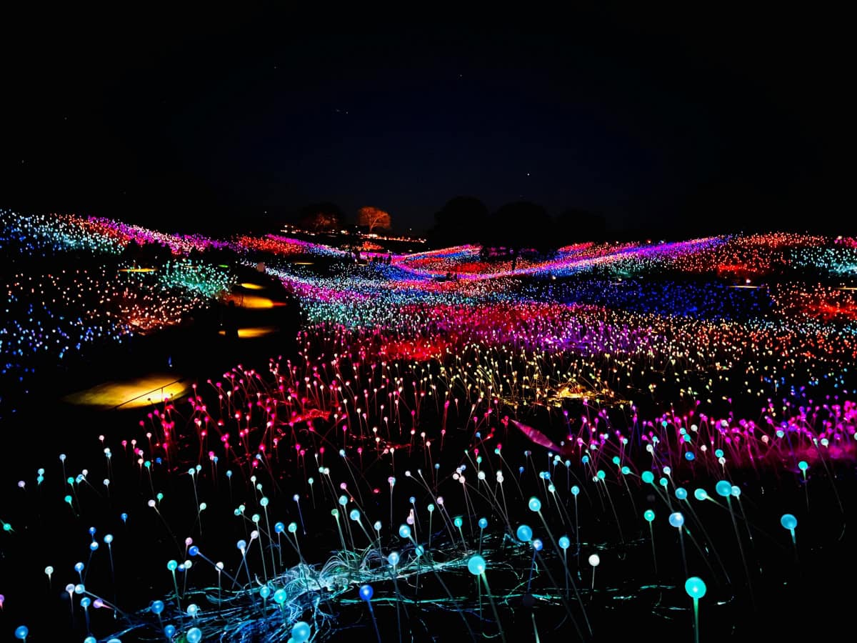 Sensorio Field of Lights in Paso Robles: An illuminated evening! - My ...