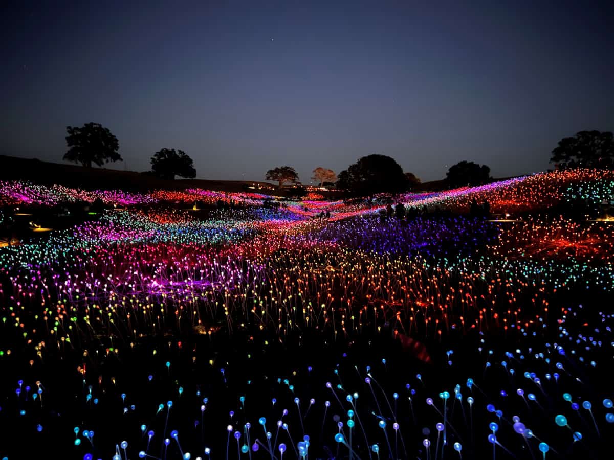 Sensorio Field of Lights in Paso Robles: An illuminated evening! - My ...