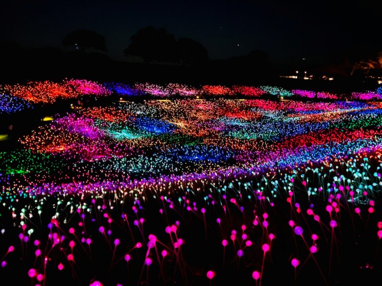 Sensorio Field of Lights in Paso Robles: An illuminated evening! - My ...