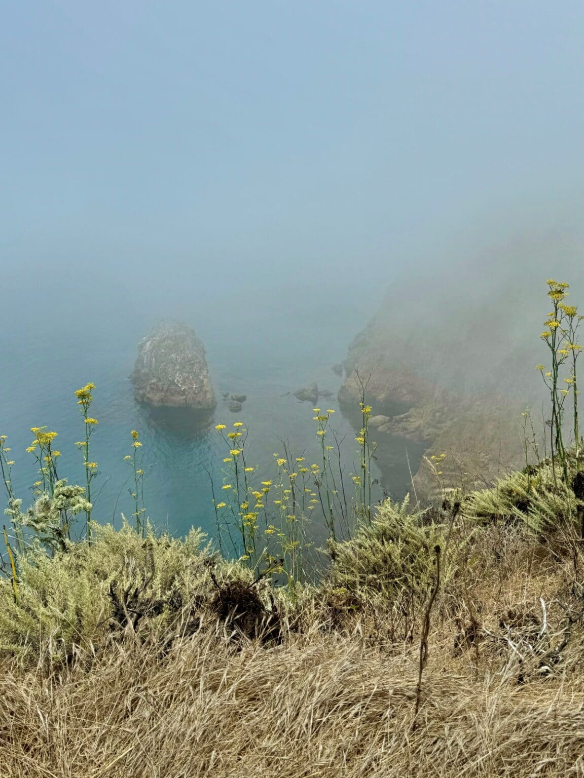 An Incredible Day trip to Channel Islands National Park - My California ...