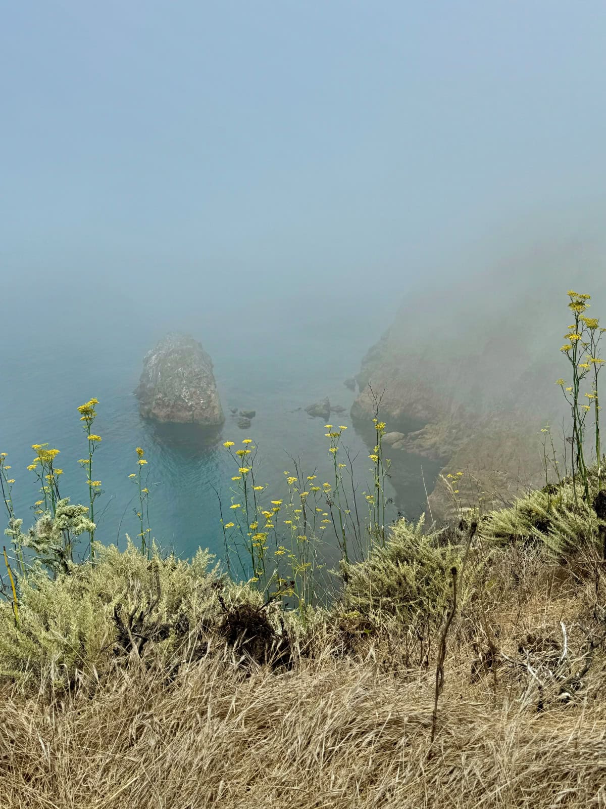 An Incredible Day trip to Channel Islands National Park - My California ...