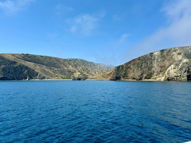 An Incredible Day trip to Channel Islands National Park - My California ...