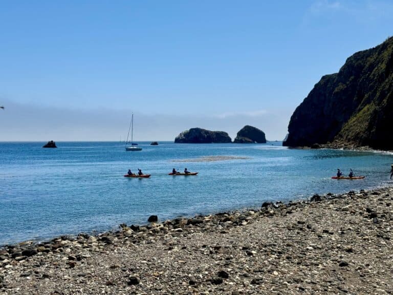 An Incredible Day trip to Channel Islands National Park - My California ...