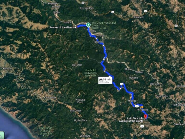 Avenue of the Giants: Scenic Redwoods Drive - My California Travels