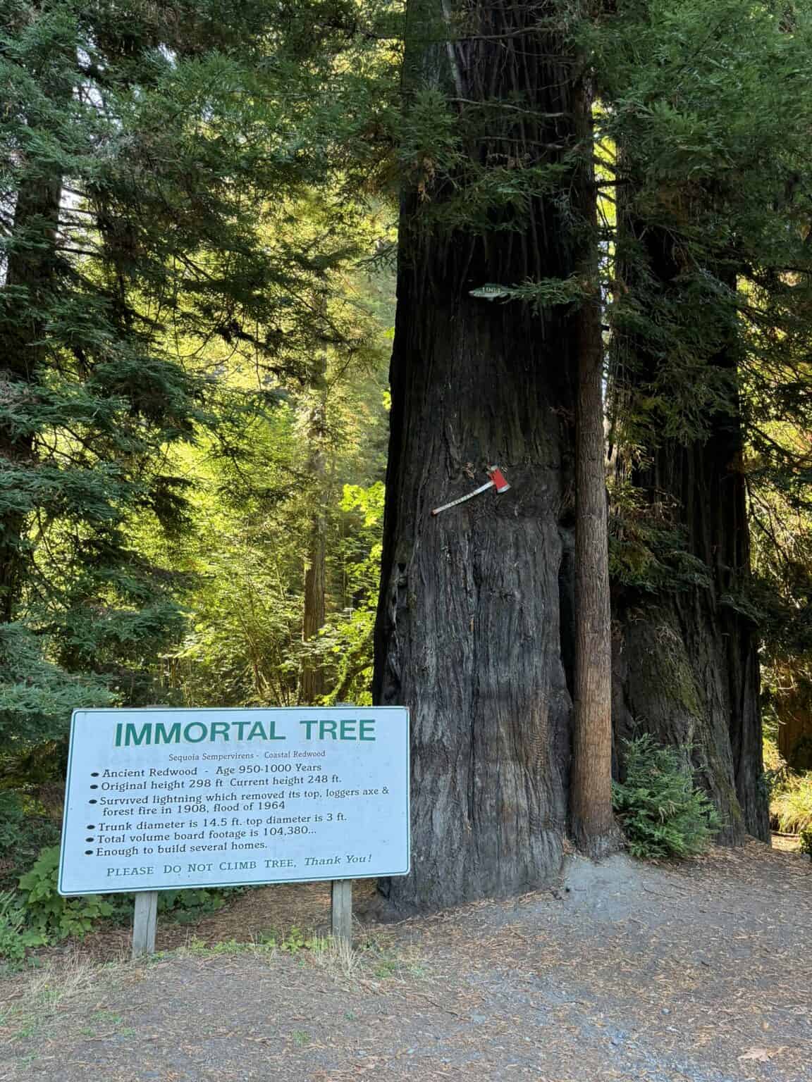 17 Incredible Things to do in Redwood National and State Parks - My ...