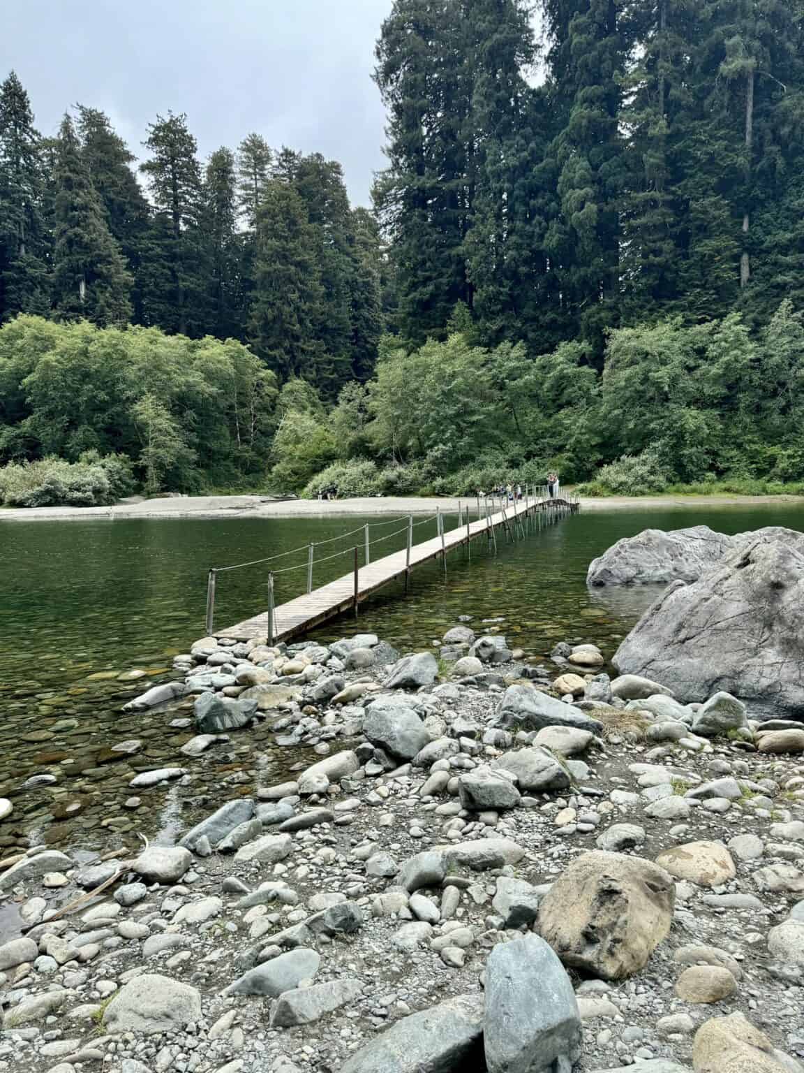 14 Best Hikes in Redwood National and State Parks - My California Travels
