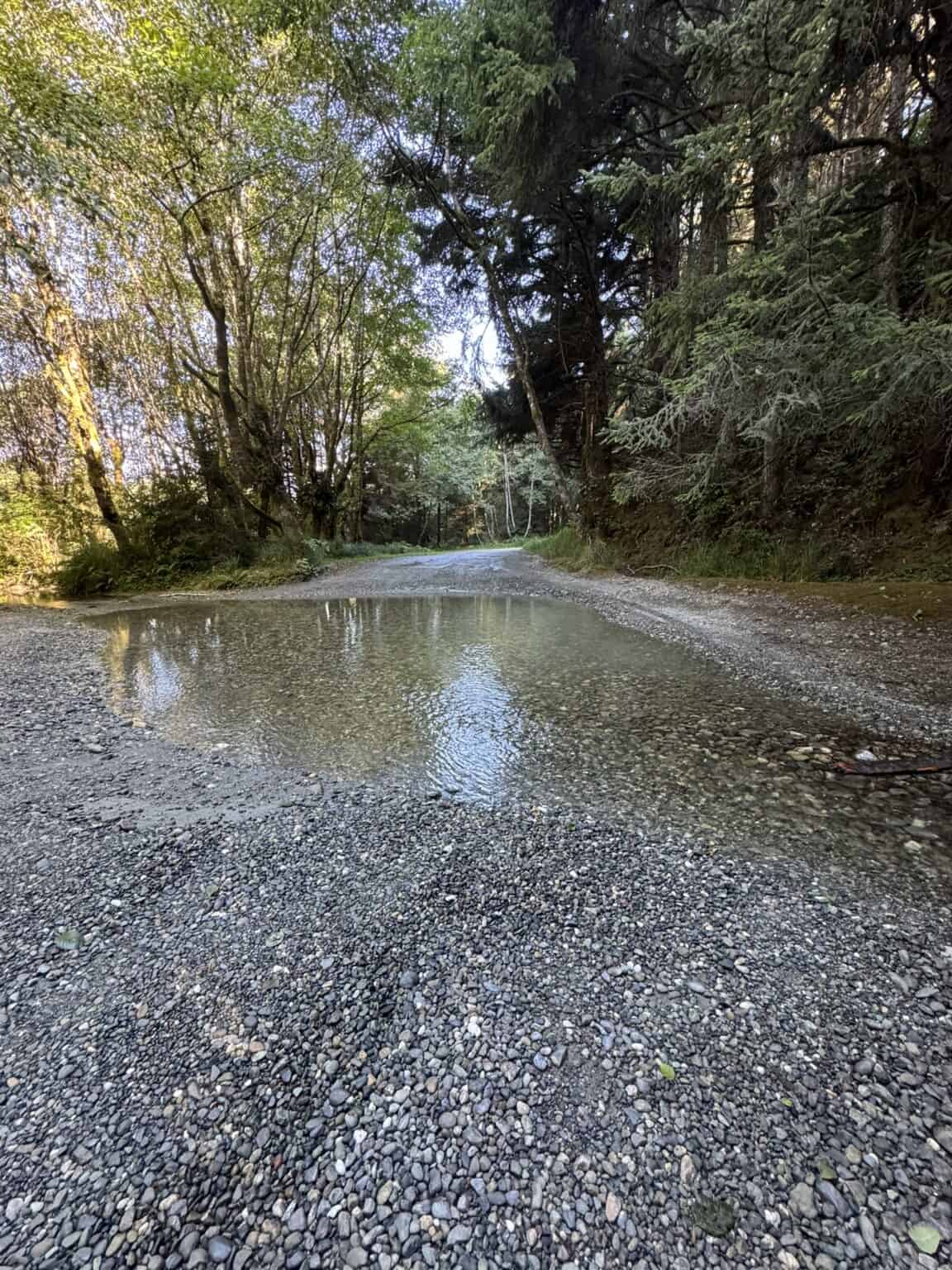 17 Incredible Things to do in Redwood National and State Parks - My ...
