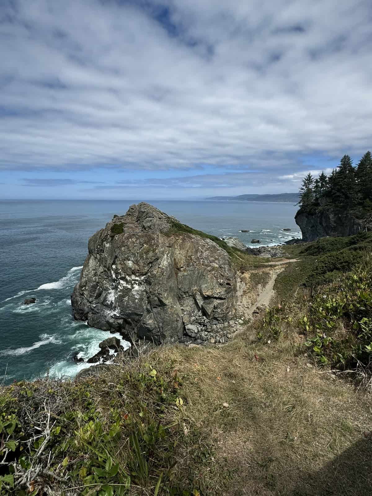 3 days in Redwood National Park Itinerary covering all the parks! - My ...