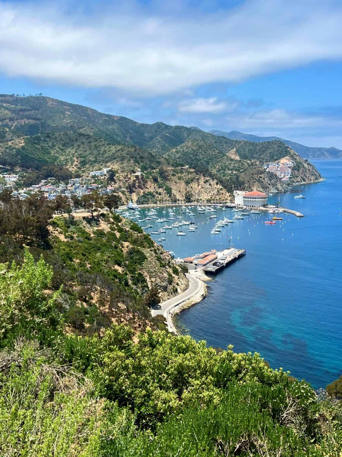 Fun Day Trip to Catalina Island: Itinerary and Things to do - My ...