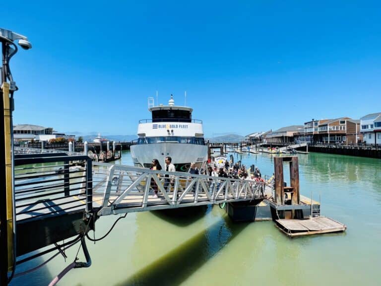 Visiting Pier 39 in San Francisco: Top things to do - My California Travels