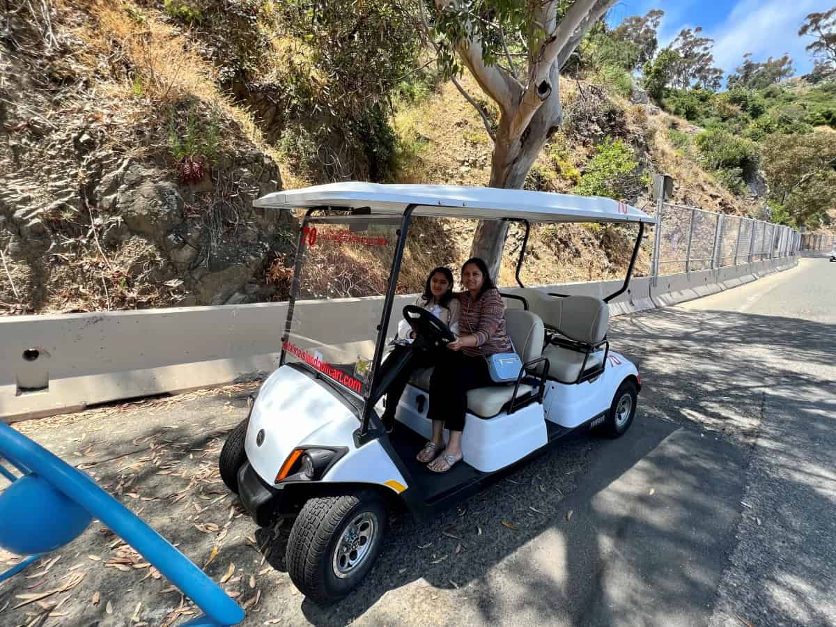 Fun Day Trip to Catalina Island: Itinerary and Things to do - My ...