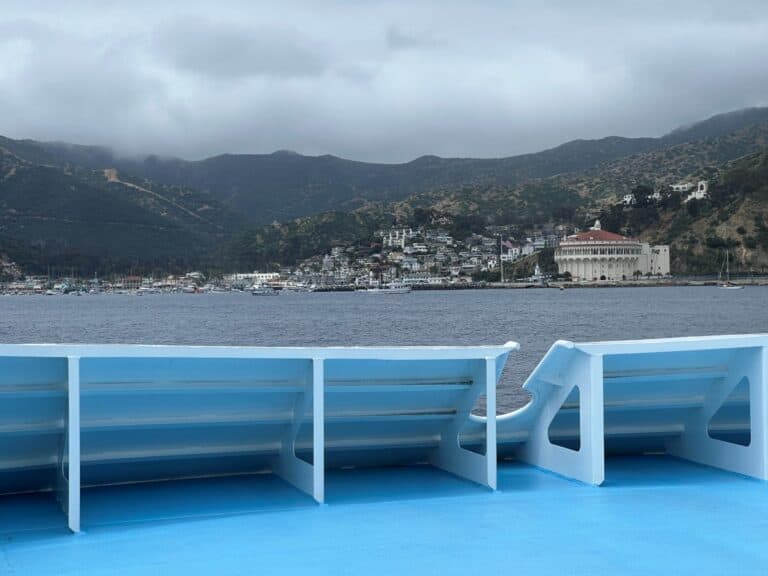 Fun Day Trip to Catalina Island: Itinerary and Things to do - My ...