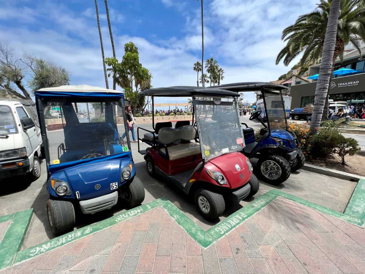Fun Day Trip to Catalina Island: Itinerary and Things to do - My ...