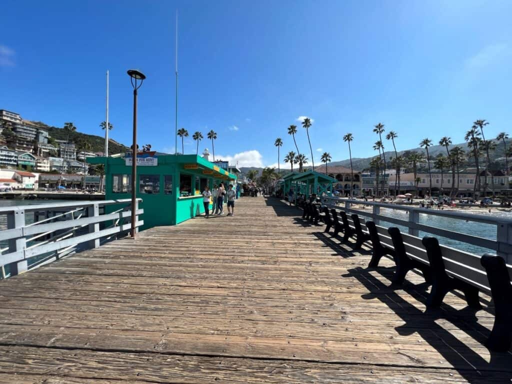 Fun Day Trip to Catalina Island: Itinerary and Things to do - My ...