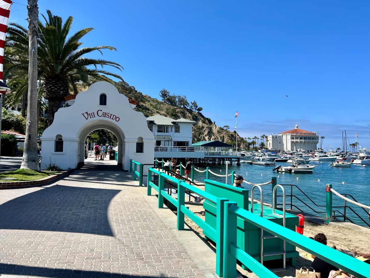 Fun Day Trip to Catalina Island: Itinerary and Things to do - My ...