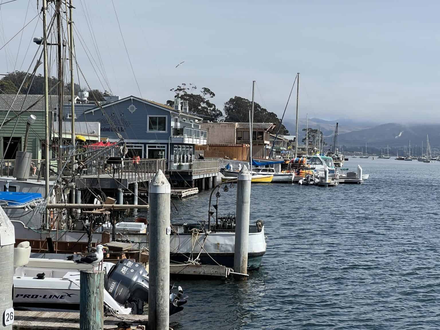 A day in Morro Bay: Top Things to do and Itinerary - My California Travels