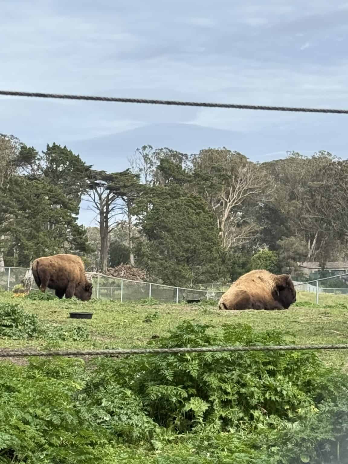 Top 23 Things to Do in San Francisco for First-time Visitors - My ...